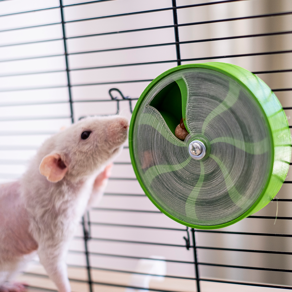 Foraging Wheel | Exoticário