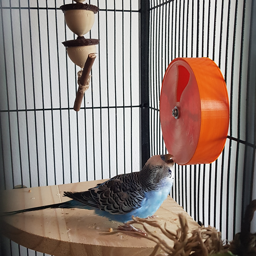 Foraging Wheel | Exoticário