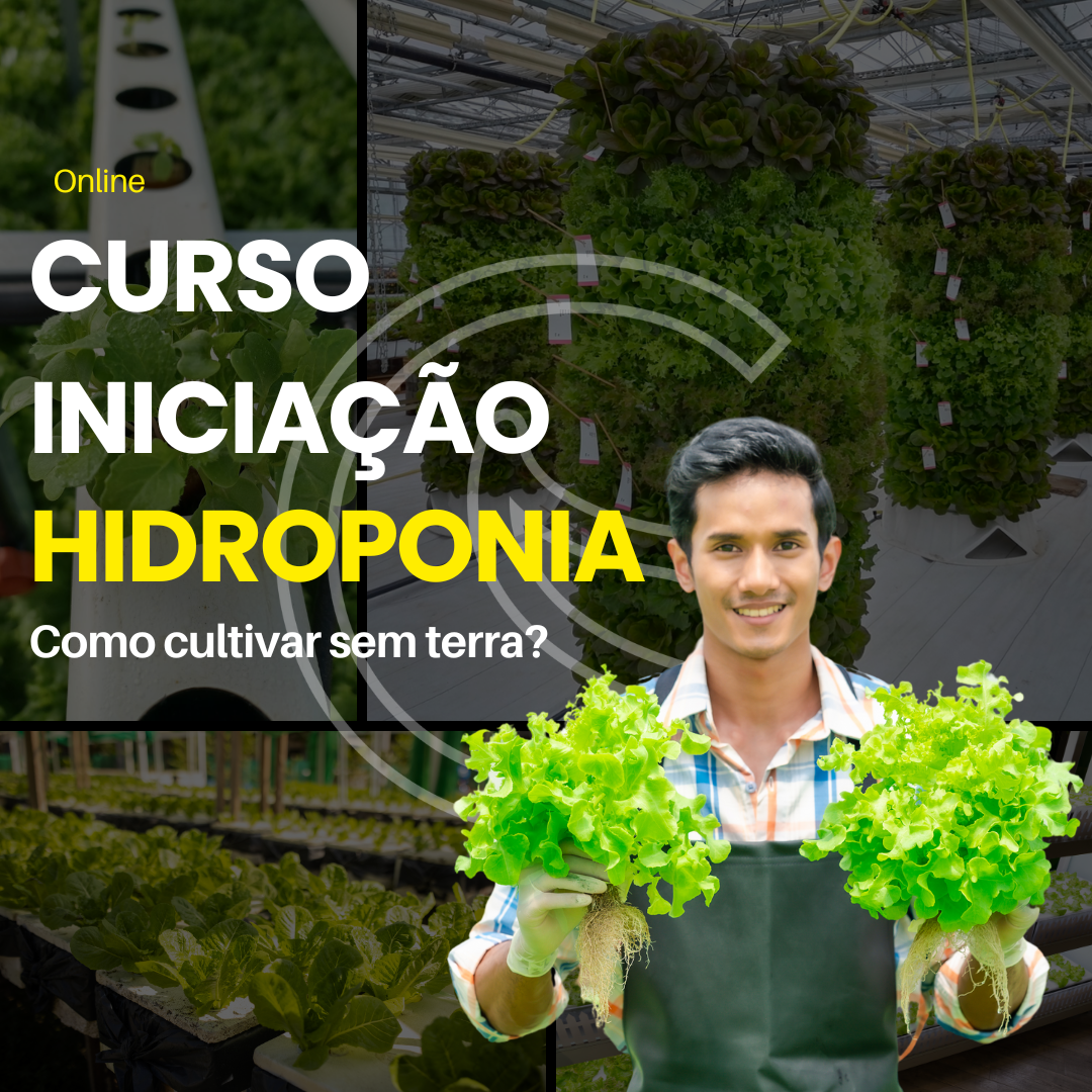 Curso Online Hidroponia | GroHo Hidroponia - Loja Oficial