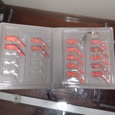 Escala de Gengivas Vipi STG | Plataforma Periférica Dental Solutions