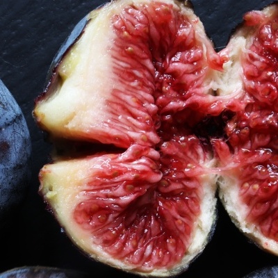 DIVERSAS | Treepical