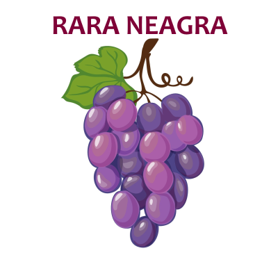 Rara Neagra | Moldova Wine