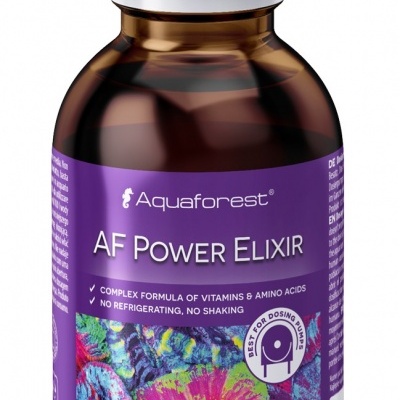 AF Power Elixir | W2R - Window To The Reef