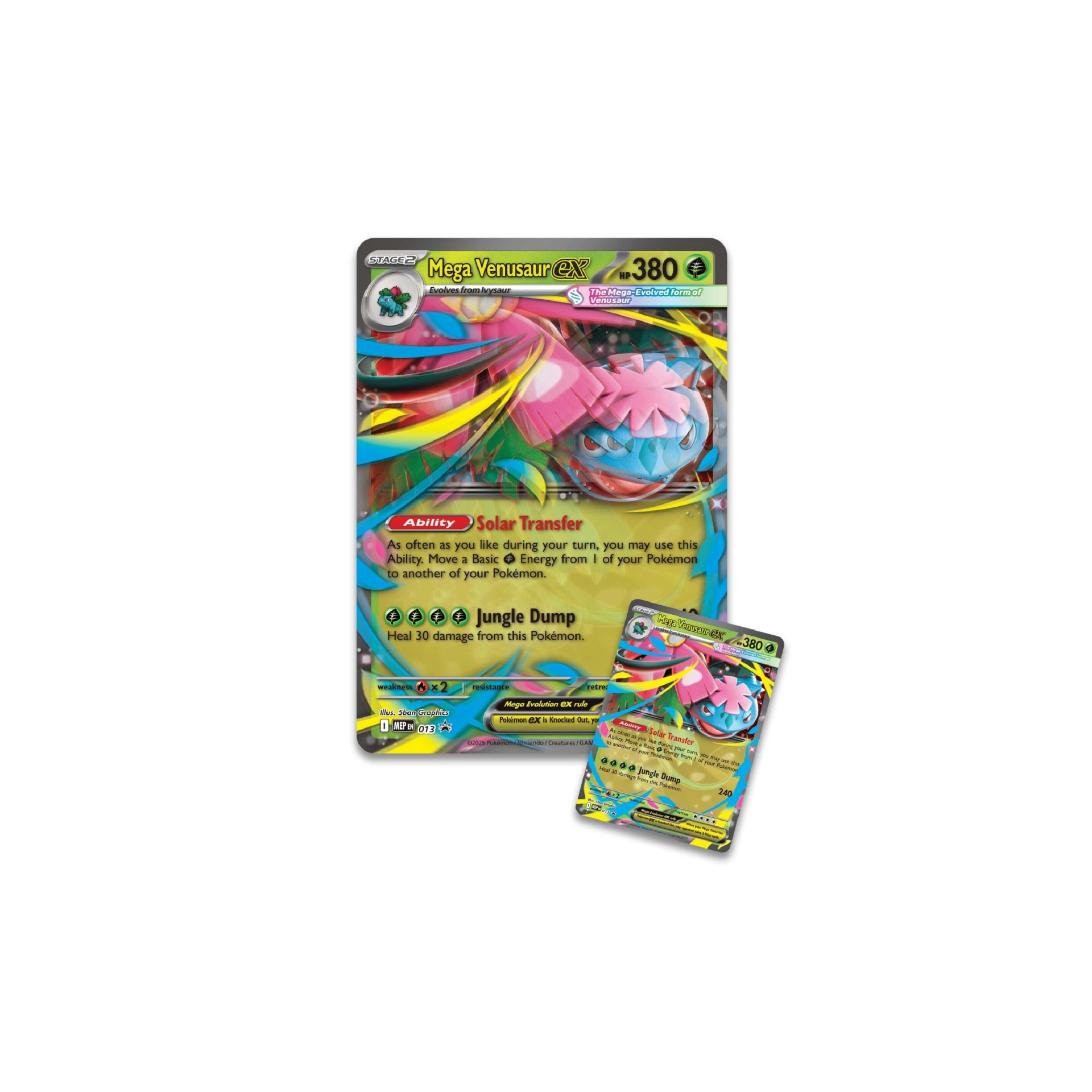 Pokémon TCG: Mega Venusaur ex Premium Collection | Weatherlight Games ...
